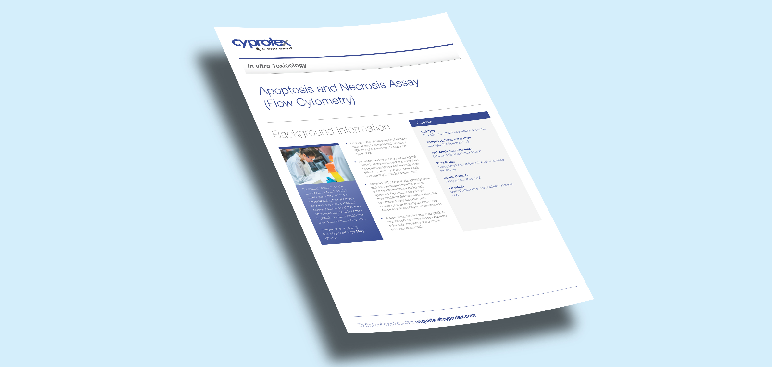Apoptosis And Necrosis Fact Sheet